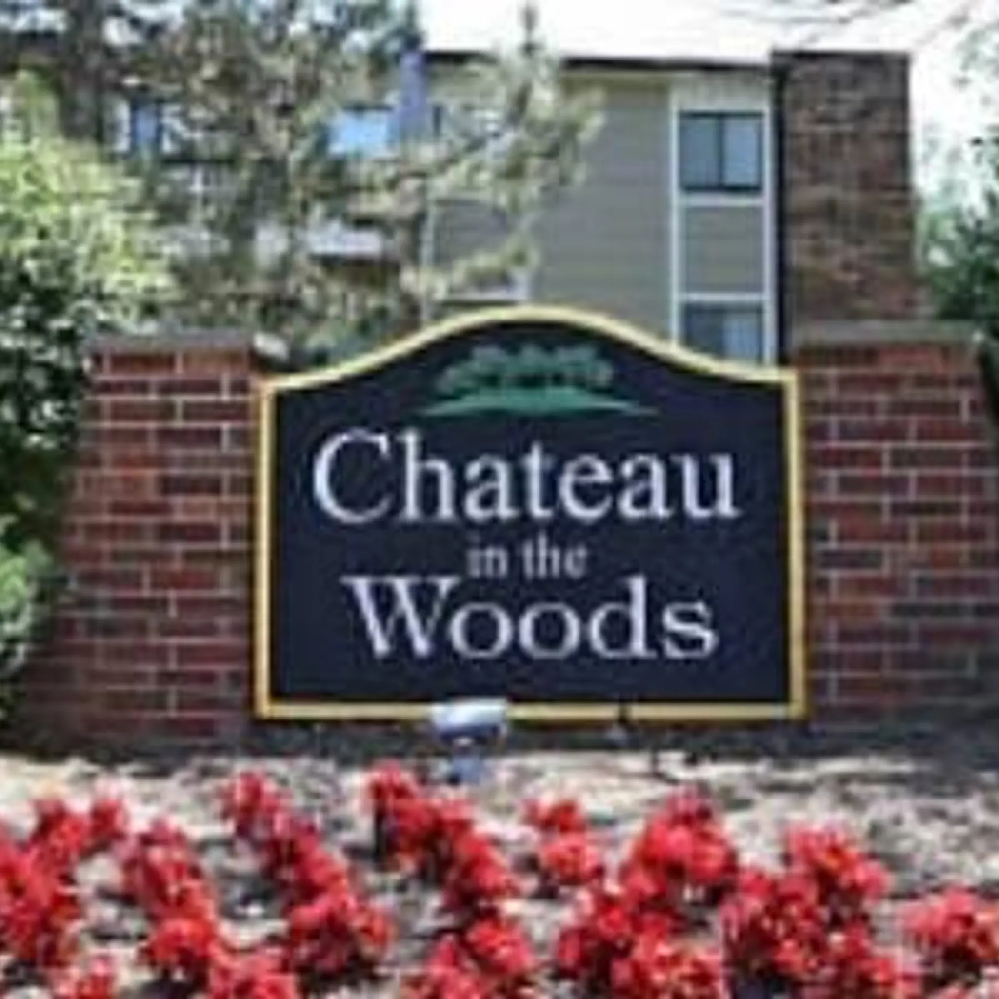 Home | Chateau in the Woods